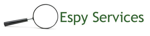 ESPY Services | Civic Business Journal